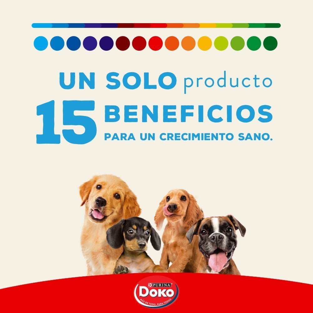 Doko – Cachorro – 24KG – Mundo Patitas